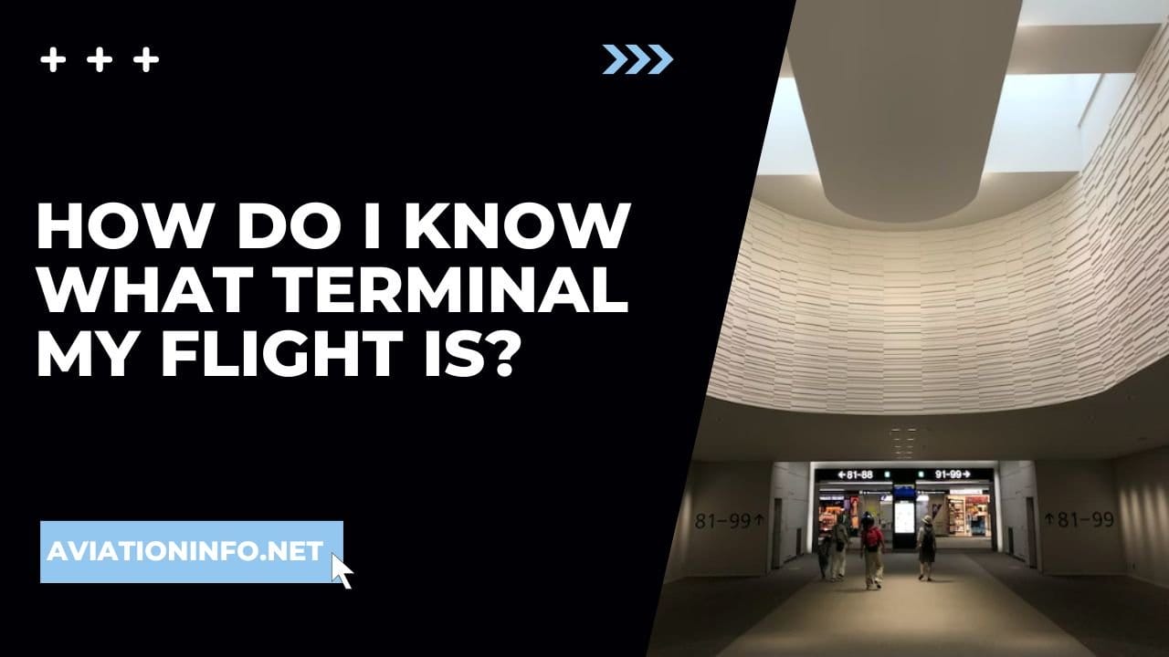 How Do I Know What Terminal My Flight Is? - Aviation Info